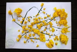 Australian Wattle Craft for Kids – Danya Banya